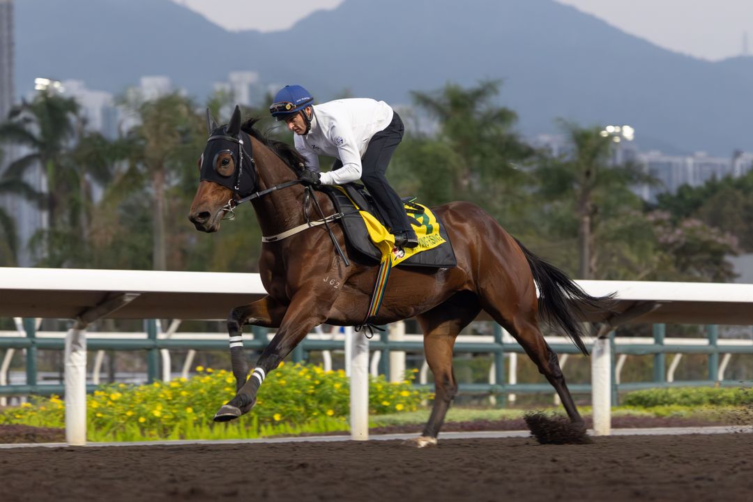 World’s best sprinter Ka Ying Rising goes for 16 straight in LONGINES ...
