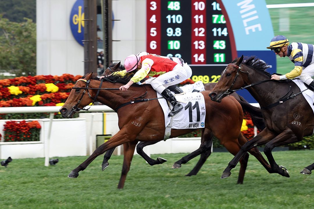 5 Fun Facts about Hong Kong Classic Miles